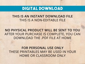 Being Safe Online – Internet Safety Digital Bundle