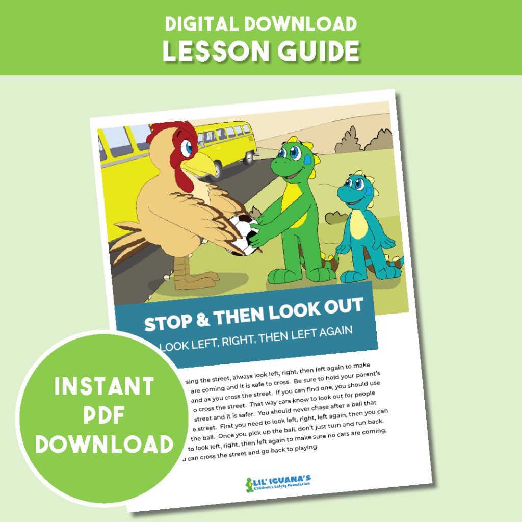 Stop & Then Look Out – Lesson Guide
