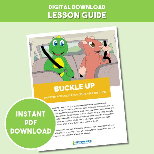 Buckle Up – Lesson Guide