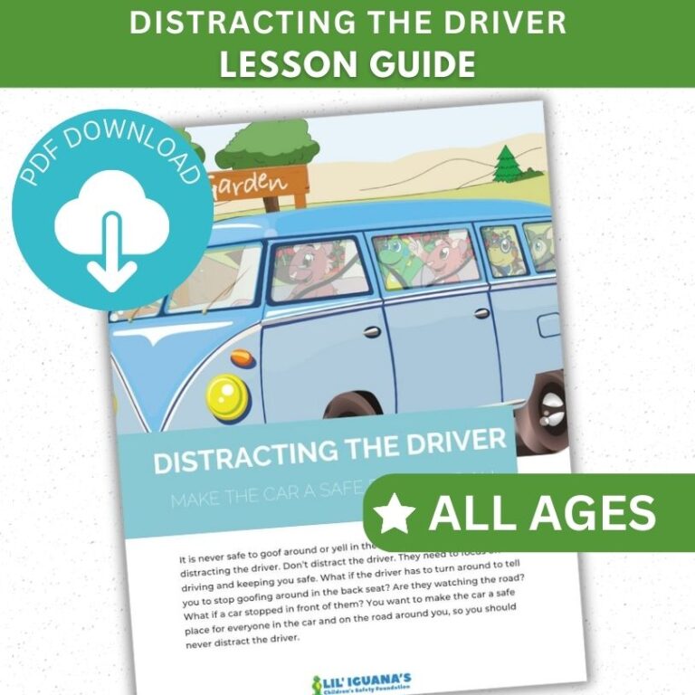 Distracting the Driver: Activity Box - Lil' Iguana