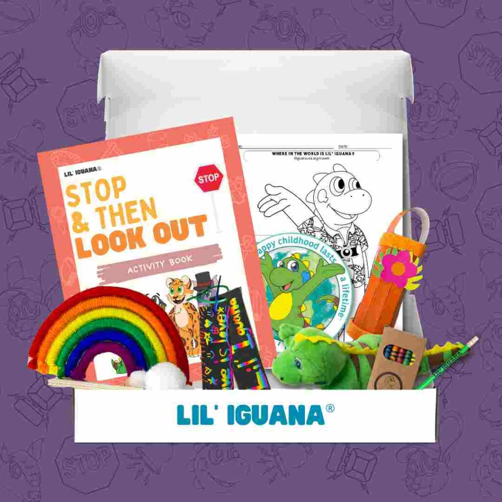 Activity Boxes - Lil' Iguana